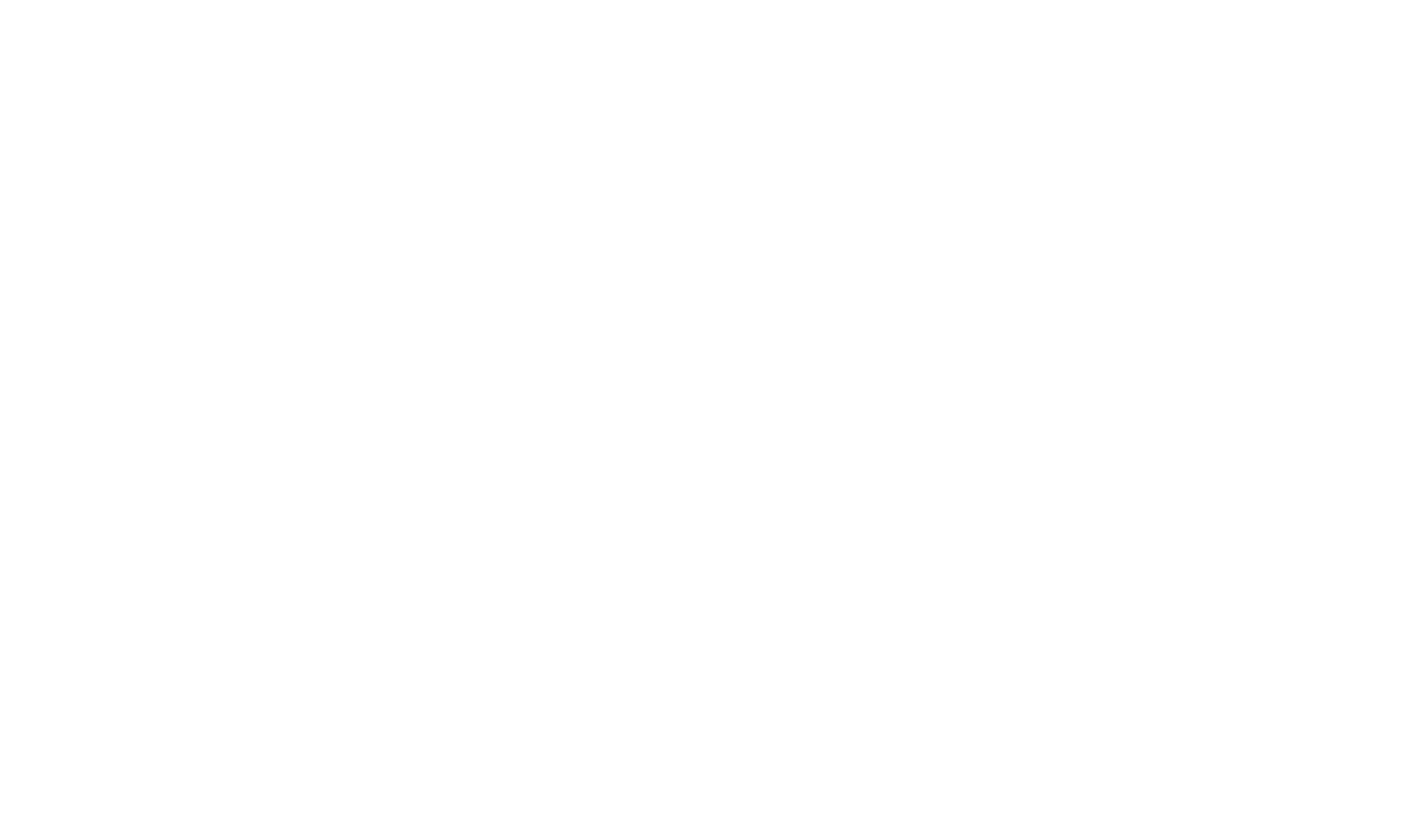 The Festival - Sarab Festival